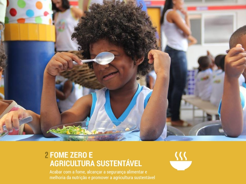 Fome zero e agricultura sustentável mais distantes | GT Agenda 2030