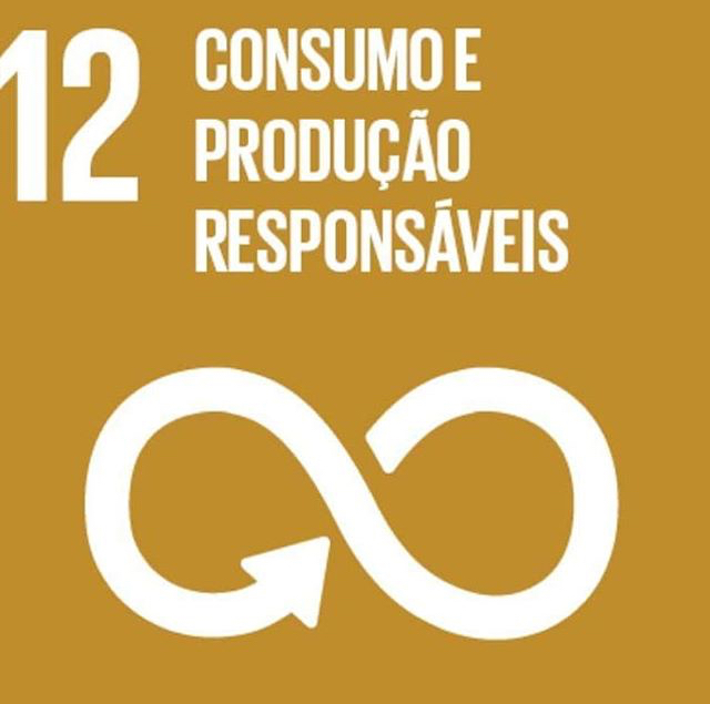 Objetivo 12. Assegurar padrões de produção e de consumo sustentáveis ...